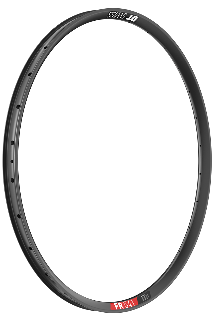 DT Swiss - FR 541 29" Rims – brobike